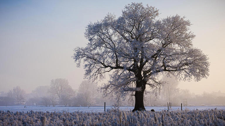 Regional- und ICE-Züge über Braunschweig und Wolfsburg fallen am ...