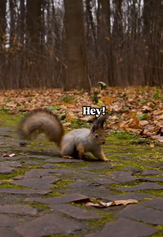 Curious squirrel hug to start the week – adorable wildlife moment