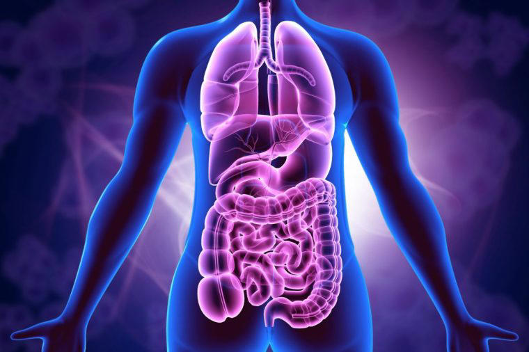 What is ‘natural Ozempic’ – and how good is the science?