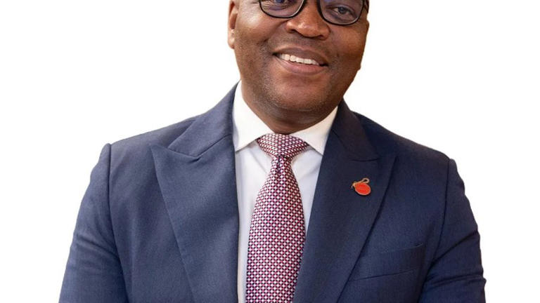 How Africa can turn fragmented mineral belts into coherent regional ...