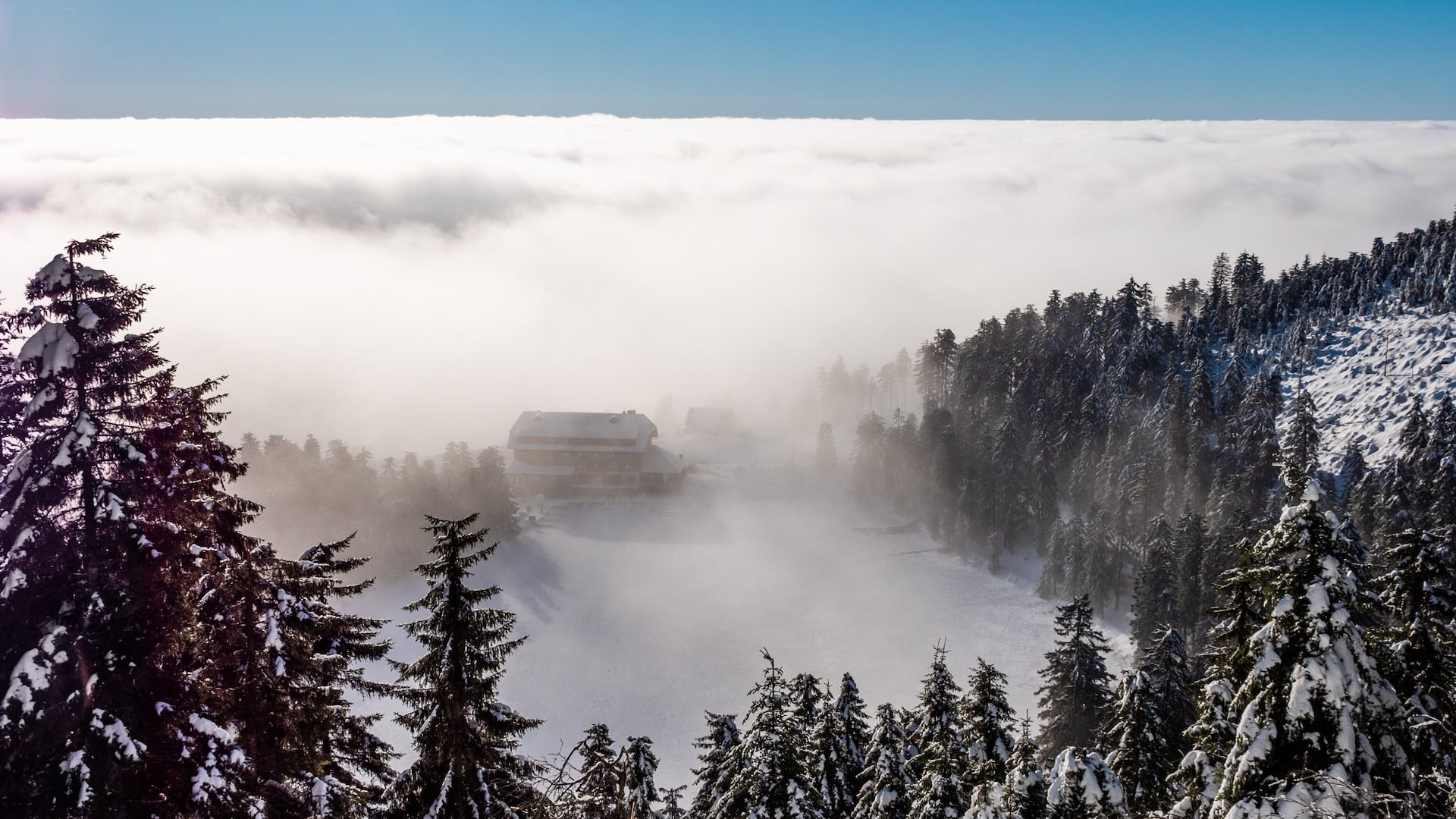 Dans la Forêt-Noire en Allemagne, cette mini-station de ski n’a qu’une ...