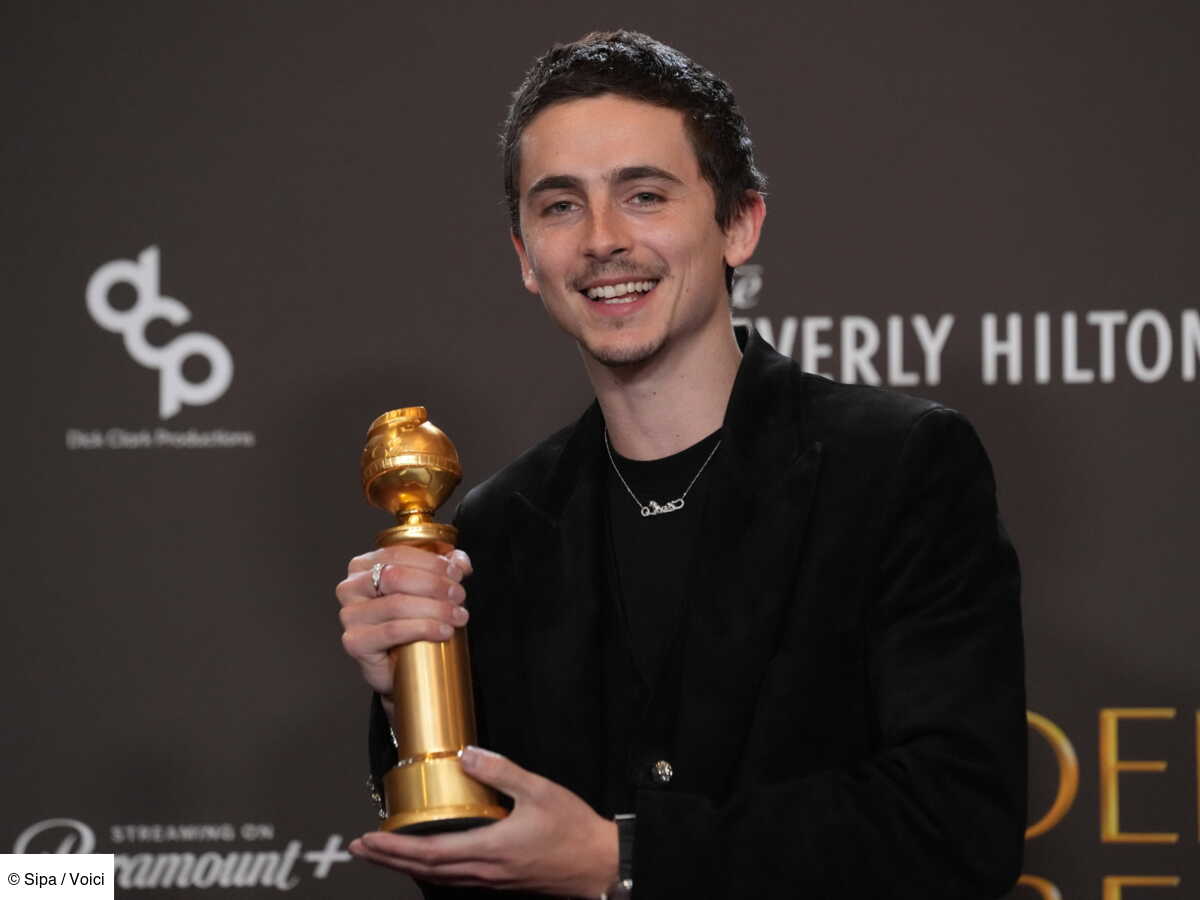 Timothée Chalamet sacré meilleur acteur dans une comédie face à ...