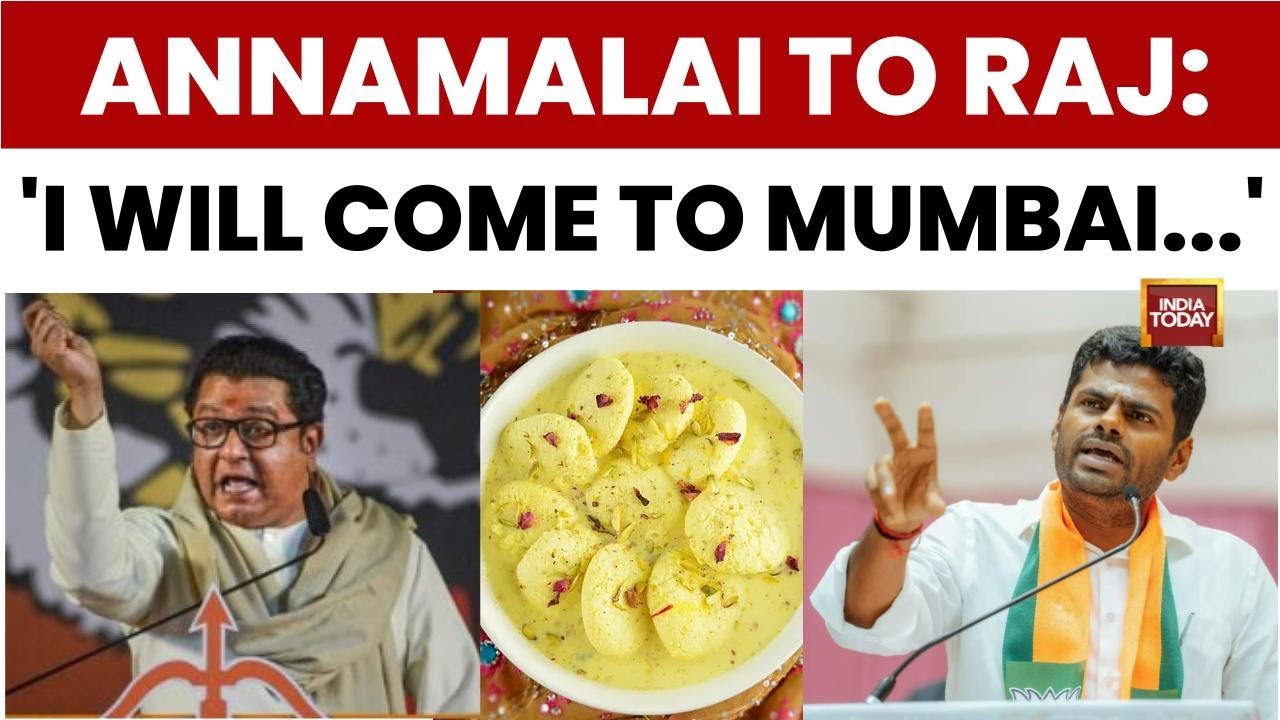 K Annamalai dares Raj Thackeray over 'rasmalai' jibe: 'I will come to ...