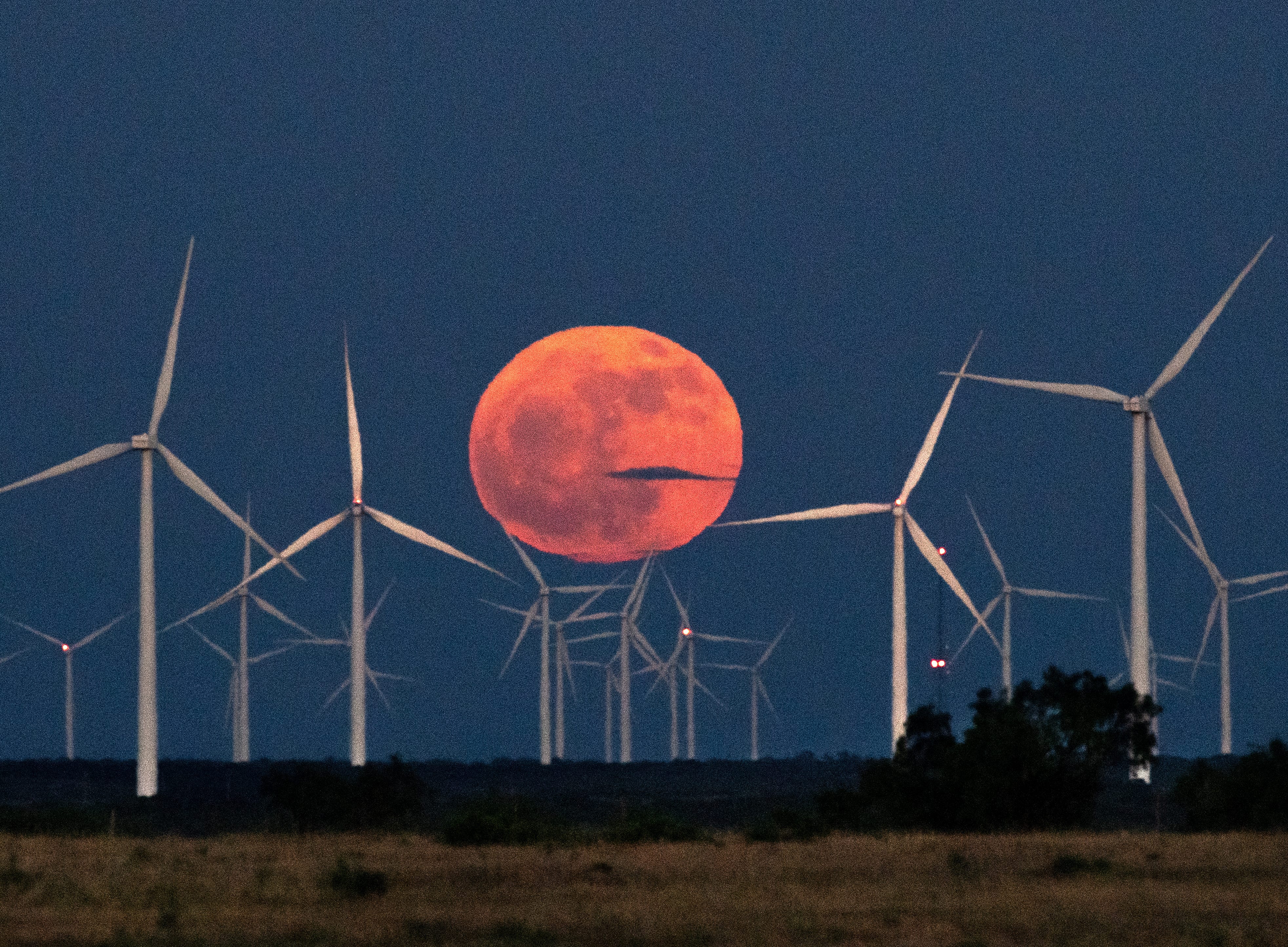 Trump assails 'windmills' and wind energy as junk: 'They're losers'