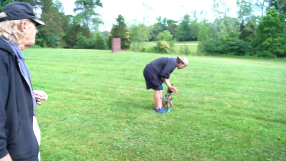 Why trainers use send out to improve focus at a distance