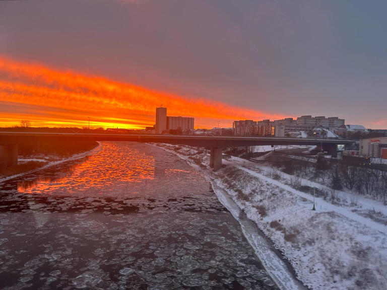 Nach Nebel am Morgen: So mild wird es am Freitag in Sachsen