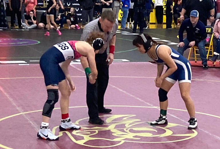 Summit, Portage girls wrestlers show growth at Lady Viking