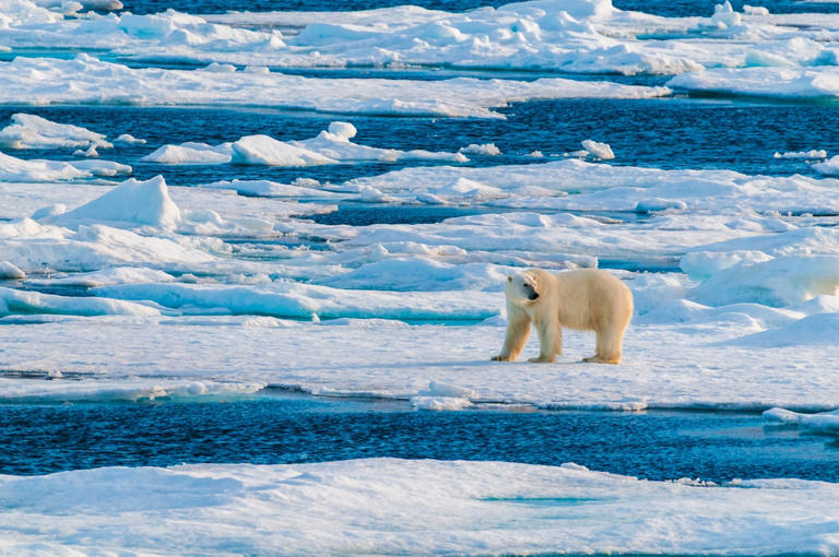 Arctique : l’hiver 2025 pulvérise les records et révèle une bascule ...