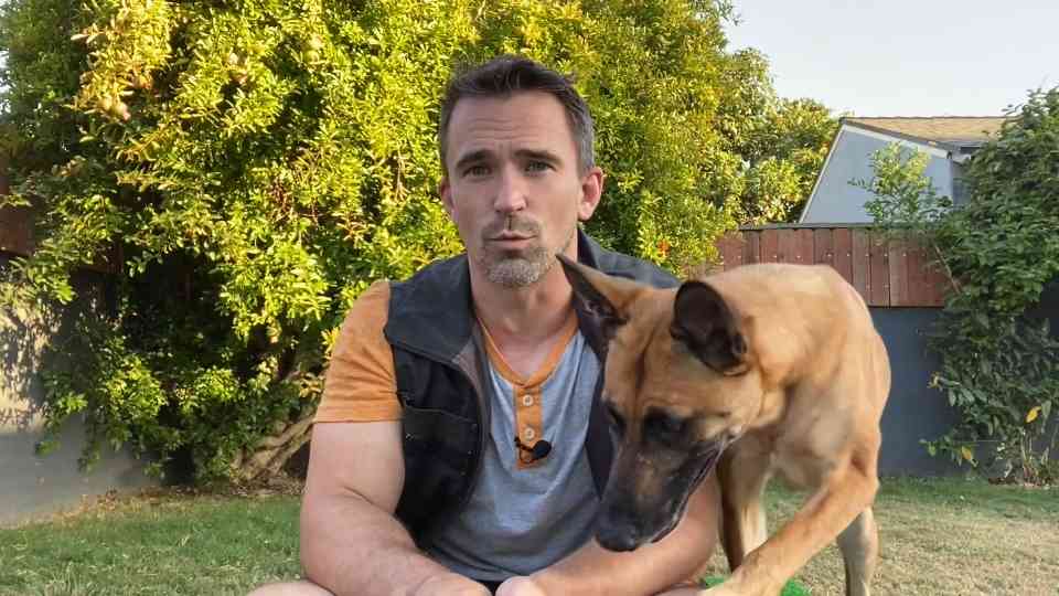 How dogs learn the piggyback trick step by step