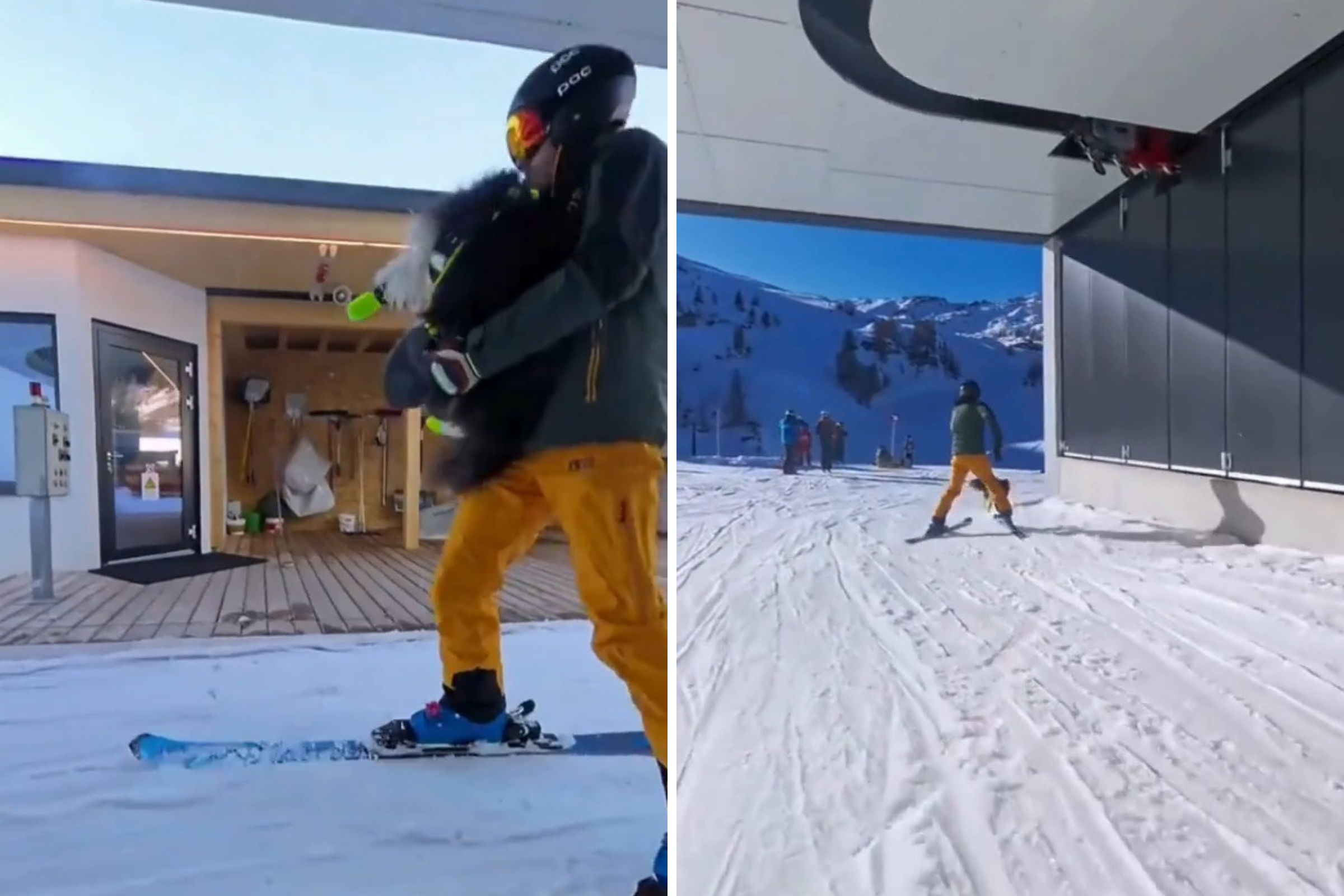 Internet can't believe what border collie does while owner skis