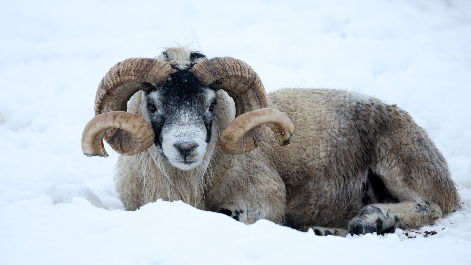 Heavy rain and melting snow could cause flooding in wake of Storm Goretti