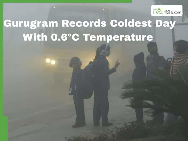 Gurugram records coldest day of the season as temperature dips to 0.6°C ...