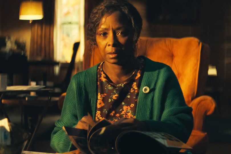 What happened to Anna's child in His and Hers? Netflix thriller explained