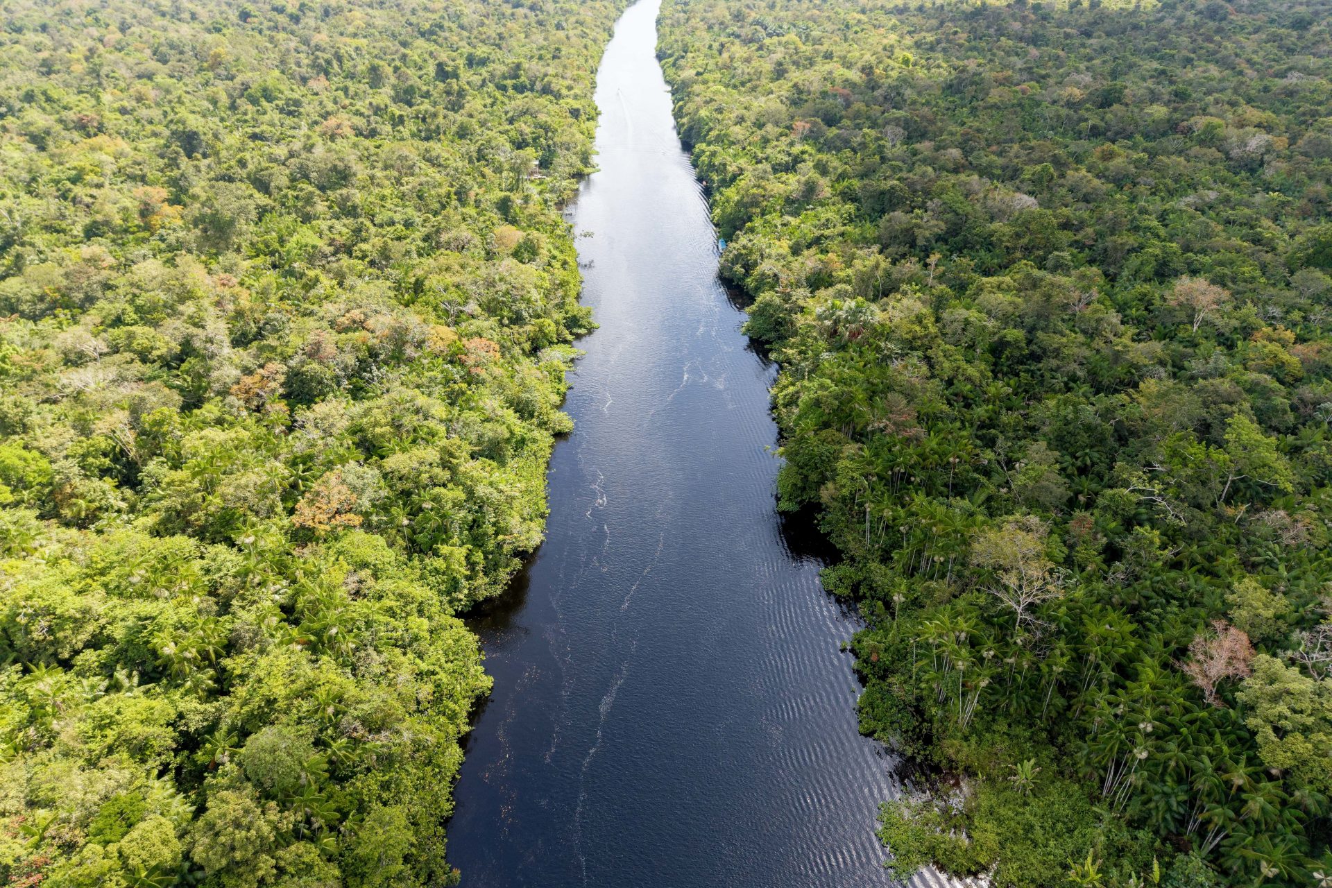 From the Nile to the Amazon: The longest rivers on Earth