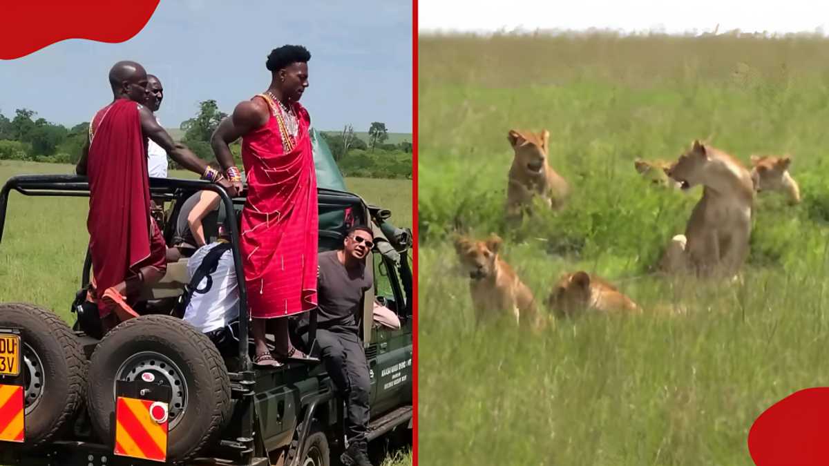 IShowSpeed in Maasai Mara: Heart-stopping moment as US streamer ...