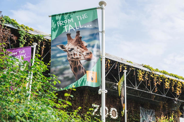 New caterer promises ‘sense of culinary adventure and discovery’ at ...