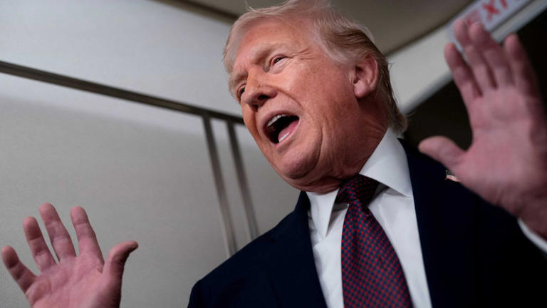 Trump's gives garbled word salad when asked why ICE agent not arrested