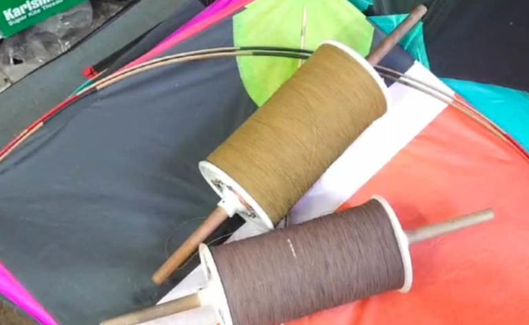 In Indore court, a snapped pencil proves deadly reality of banned kite ...