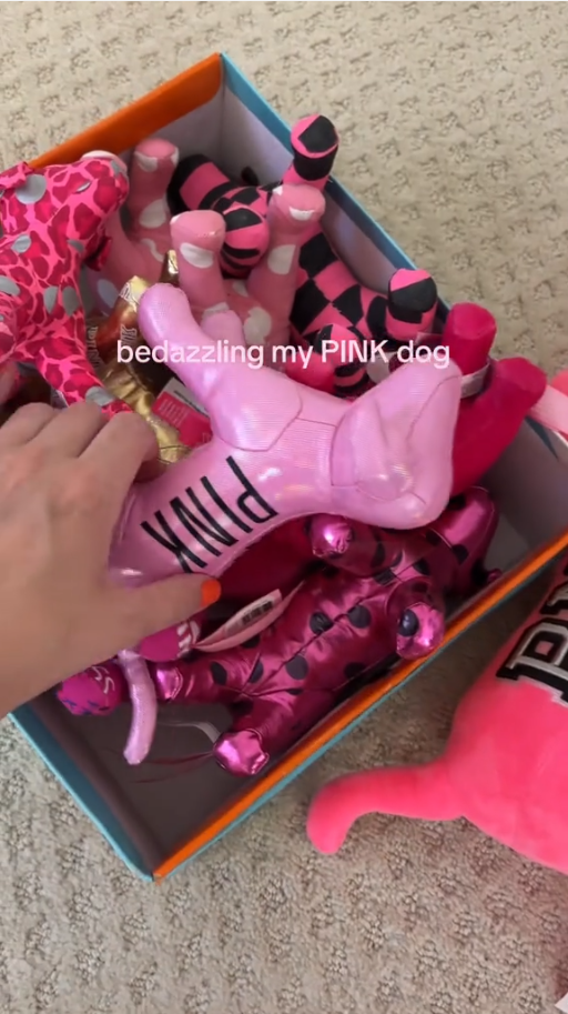 Rhinestoning a Victoria’s Secret Pink dog