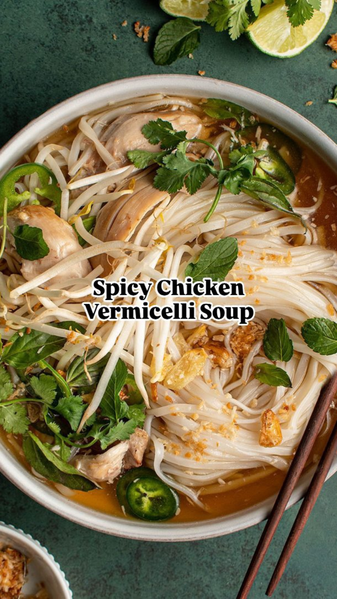 Spicy chicken vermicelli noodle soup quick and flavor packed