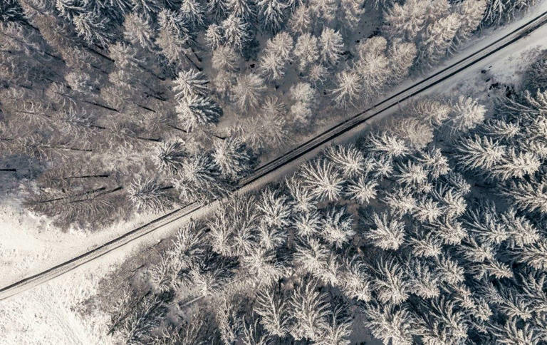 Scenic train routes in Poland you shouldn’t miss