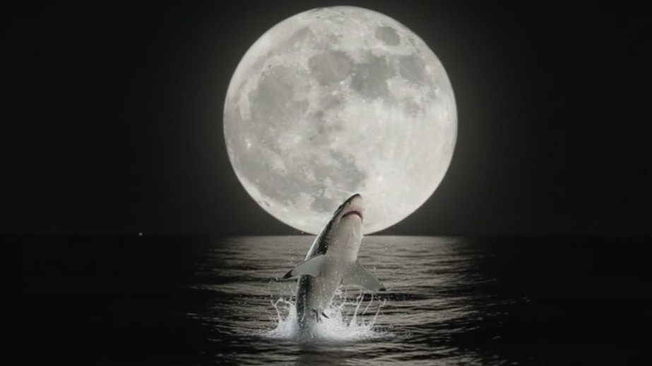 There were more attacks under brighter moons - what the data actually shows