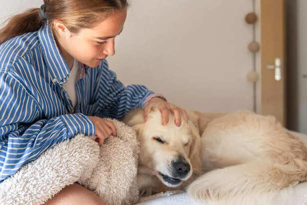 Subtle signs of organ problems in dogs you should never ignore