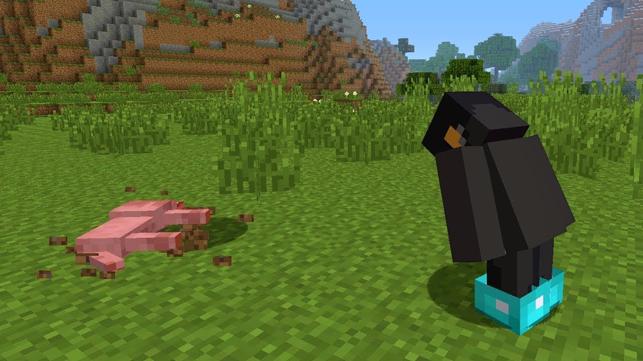 Minecraft Xbox dog’s death shocks the server