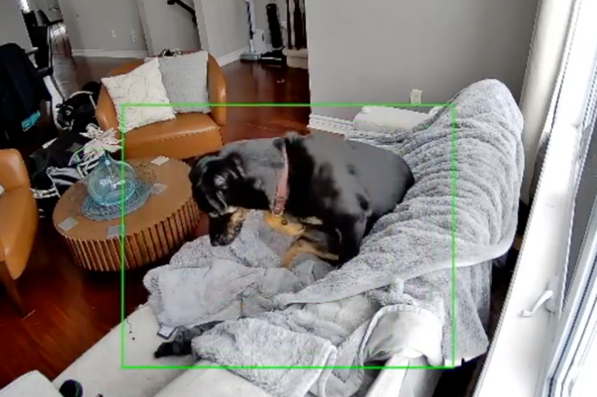 Watch: Dog chewing heated glove starts fire in home