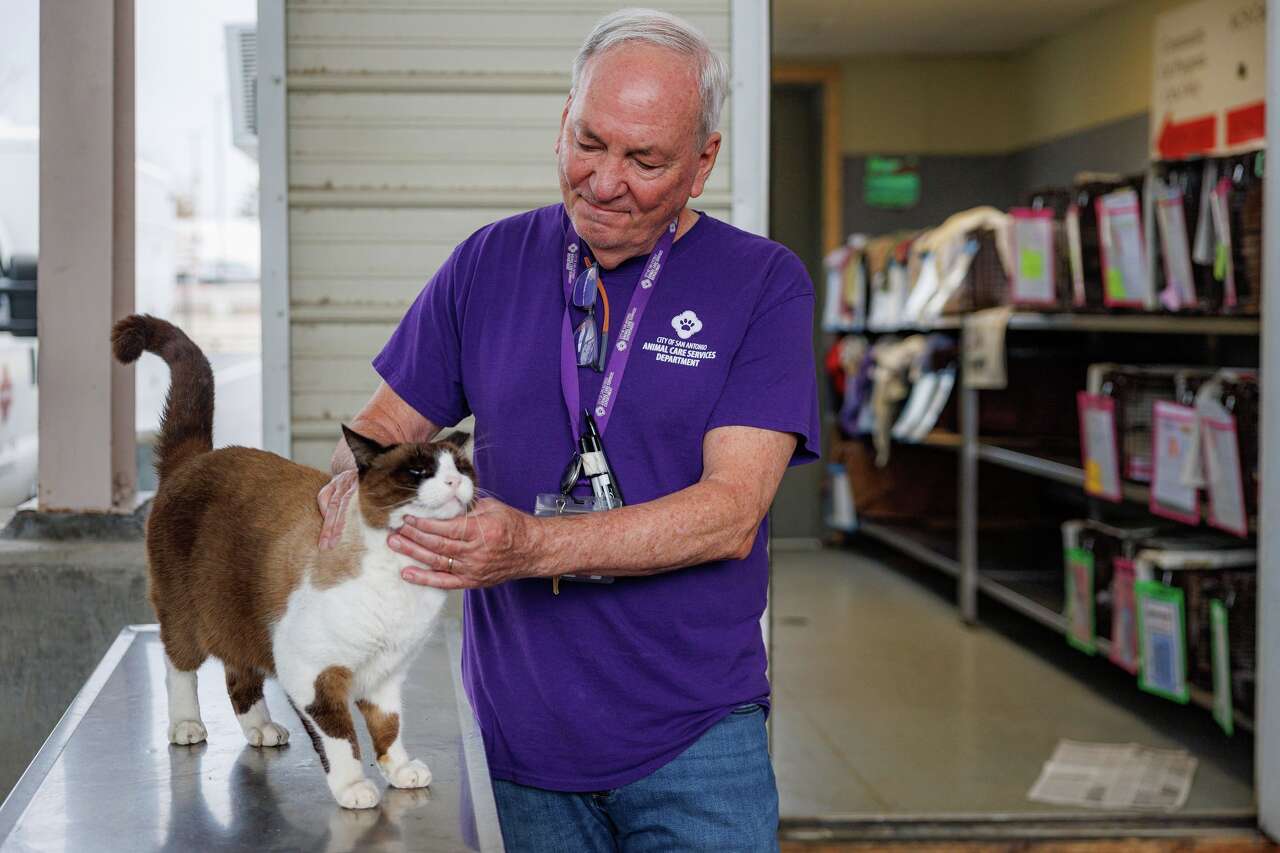 At the city's Animal Care Services, Mr. Jimmy is a cat's best friend