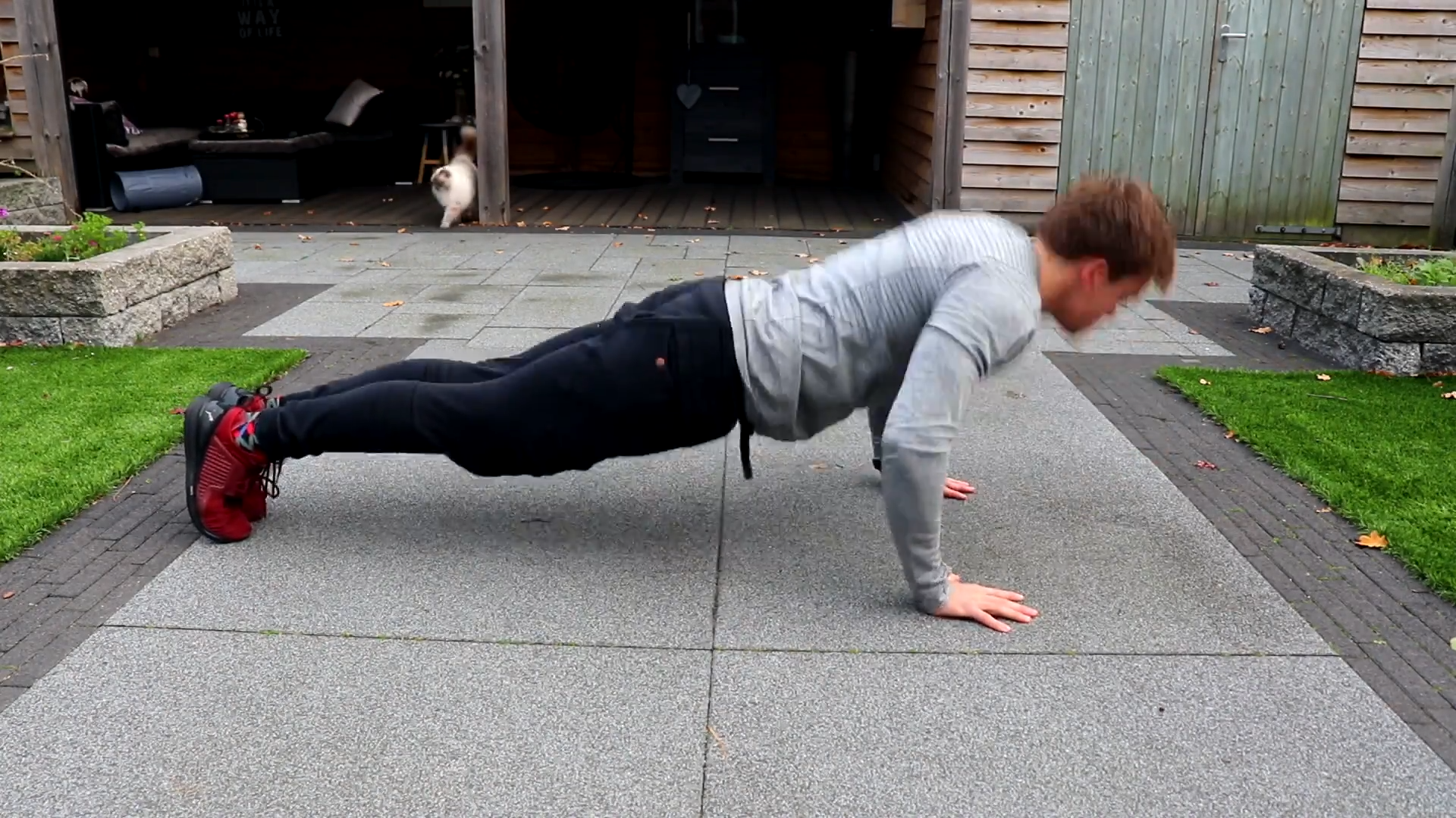 Can a 5‑year‑old really do 4,000 push‑ups?