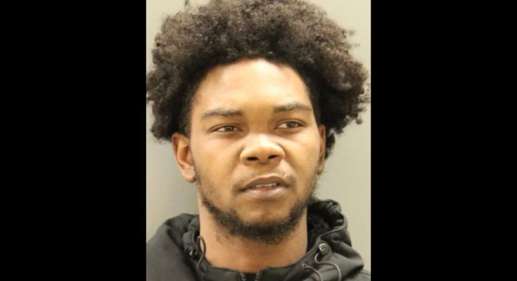 Loaded gun and 200 grams of marijuana seized in Wilmington traffic stop