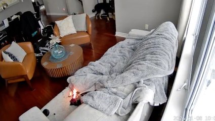 Watch: Dog chewing heated glove starts fire in home