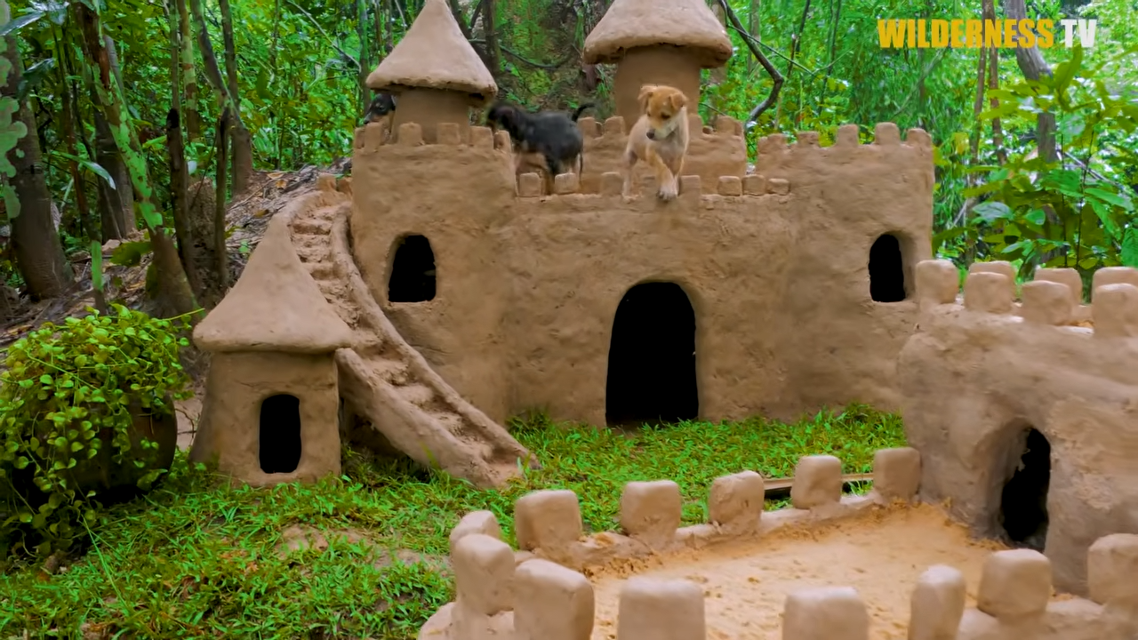 Rescued puppies get their own castle playground built by hand deep in ...