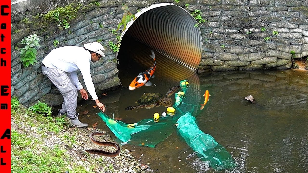 He tried to build a fish trap using only Temu parts - what happened ...