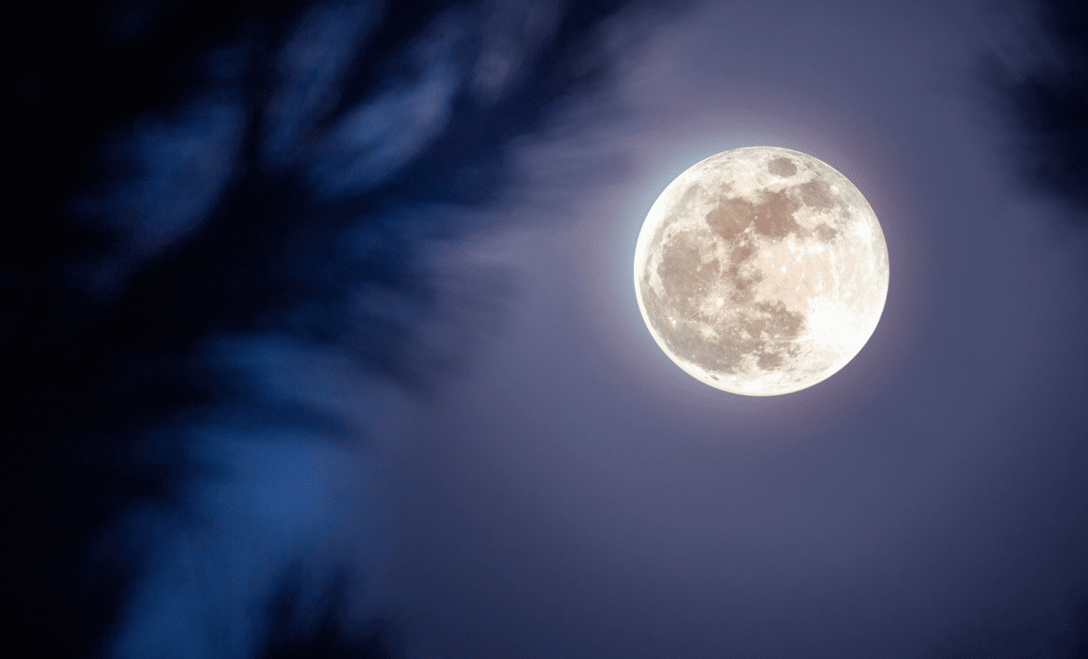Catch the 2026 snow moon at its peak: A must-see event