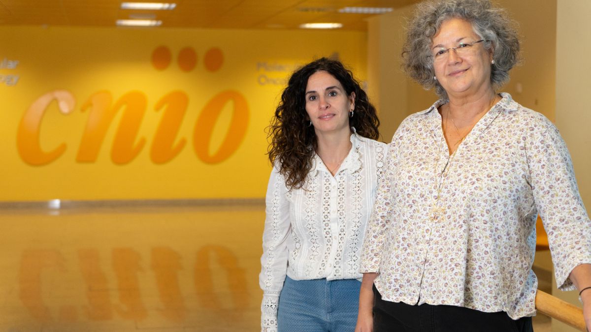 Investigadores del CNIO hallan dos nuevos genes que predisponen a ...