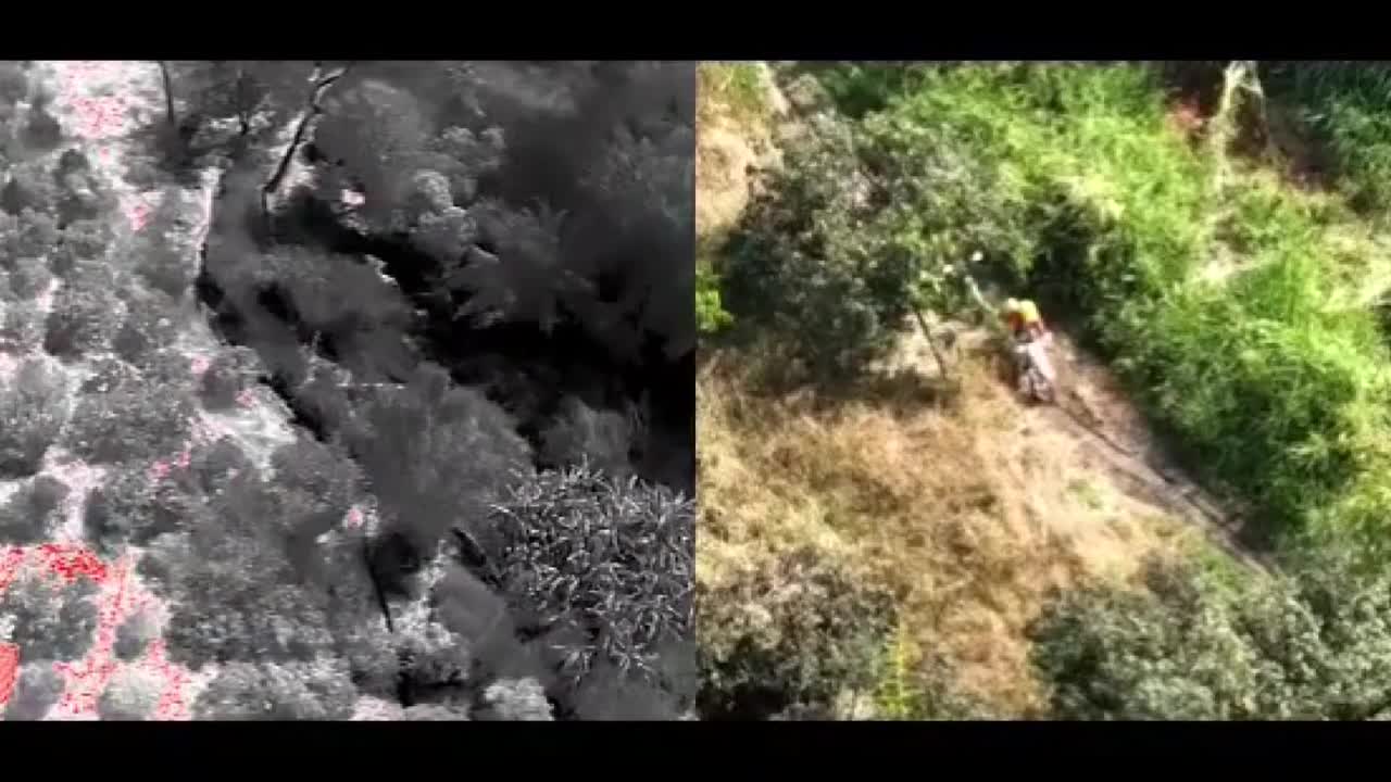 Brit, 63, lost overnight in snake-infested Thai jungle without food or ...