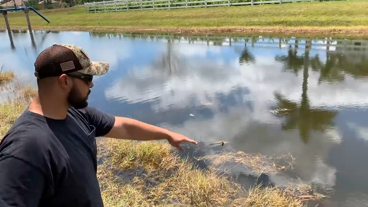Catching exotic fish in underground canals