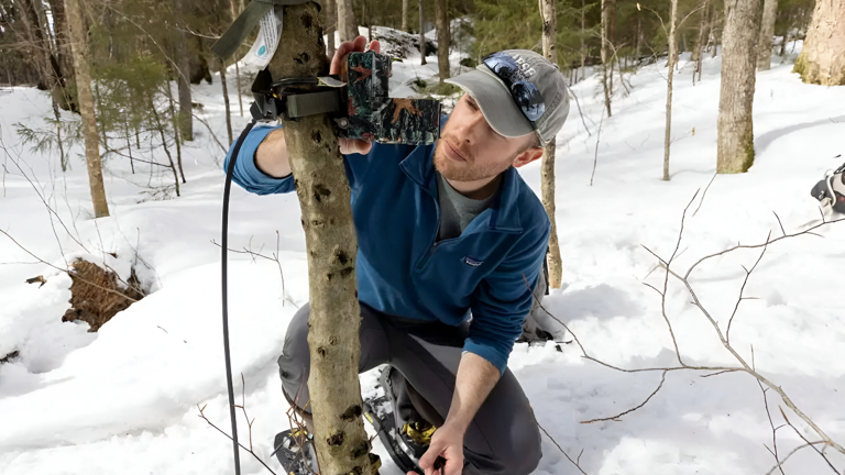 Phantom predator emerges from extinction shadow as it’s captured by ...