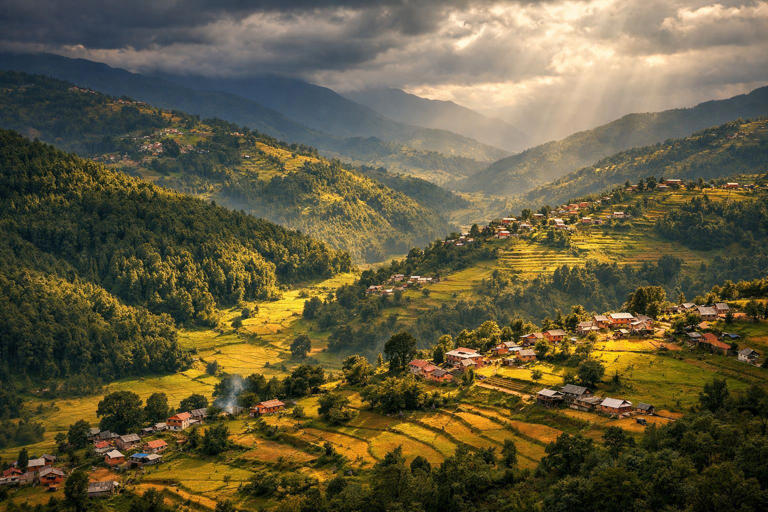 Au cœur du Népal, des caméras cachées dévoilent la vie secrète d ...
