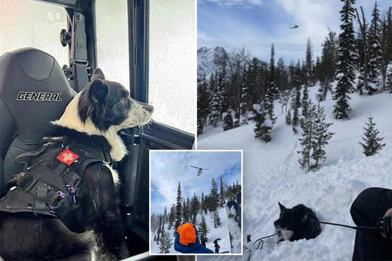 Two snowmobilers killed, two rescued after avalanche in remote Washington