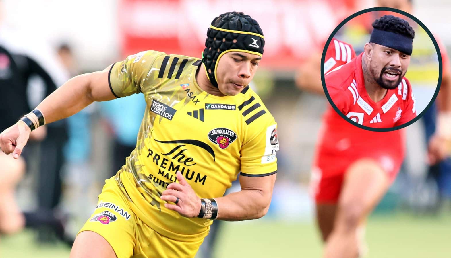 Cheslin Kolbe’s gamble proves costly after Sam Cane’s 'stupid' red card ...