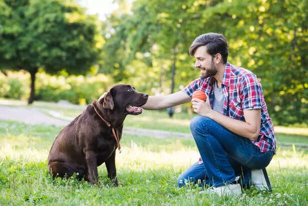 Most common regret of first time pet parents revealed