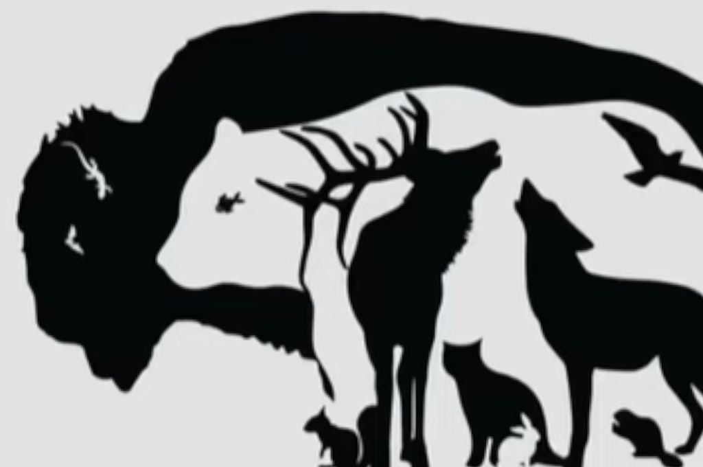 Test logiczny IQ. Ile zwierząt jest na obrazku? Wiele osób błędnie ...