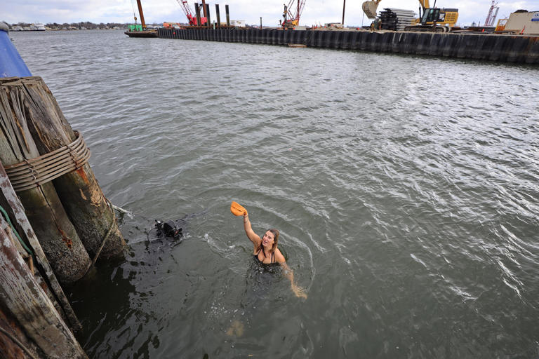 Why Jillian Mercer is diving into New Bedford Harbor (more than once)