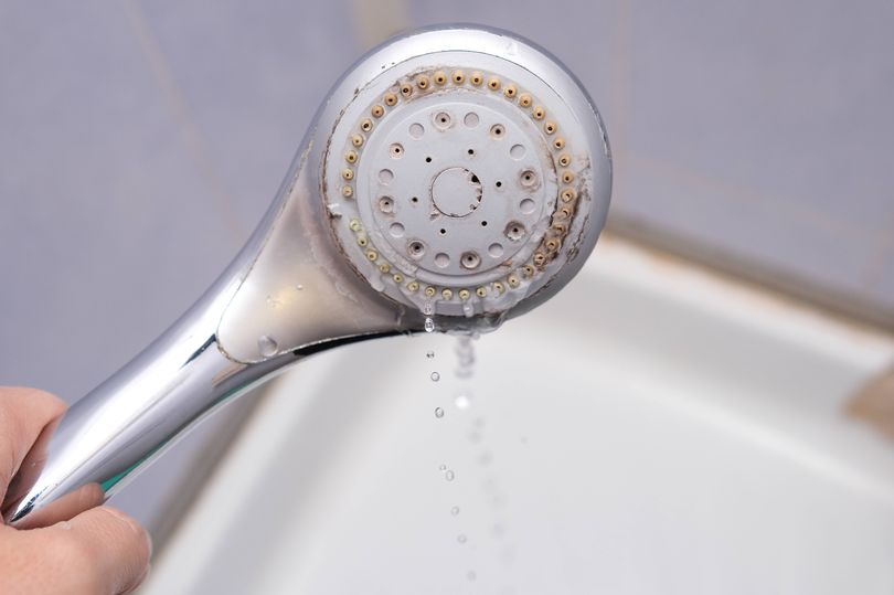 Remove limescale from shower heads with 1 natural item — not vinegar