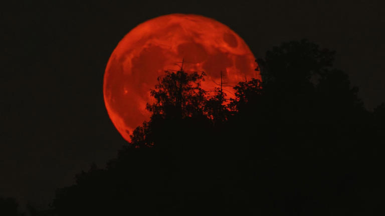 The moon will turn blood red for 82 minutes - when it will happen ...
