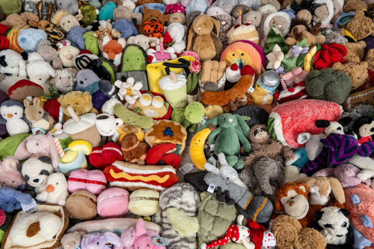 Teen with 877 Jellycats awarded Guinness World Record for largest ...