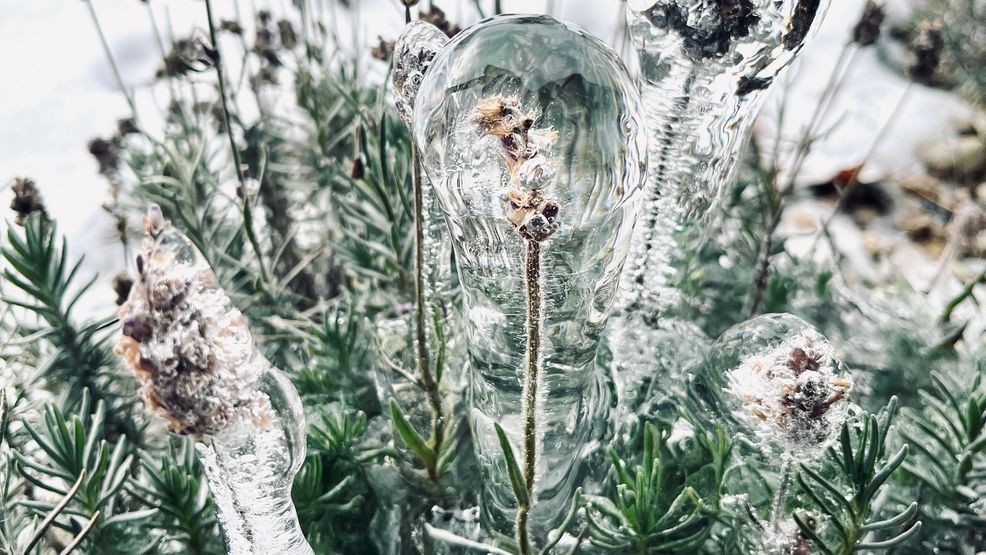 And the December photo of the month is...